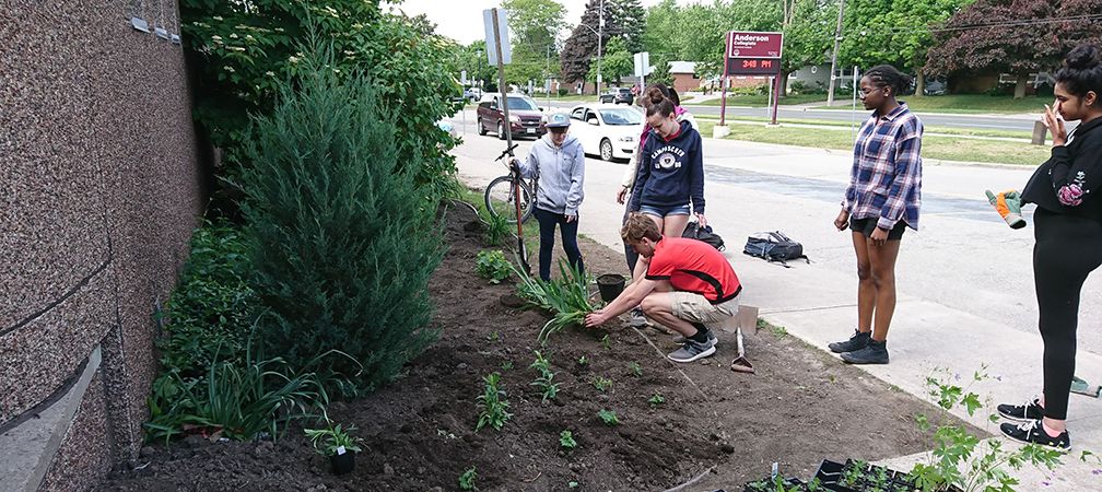 Ontario Schools Talk Green, But Are They Supporting Eco-Clubs ...